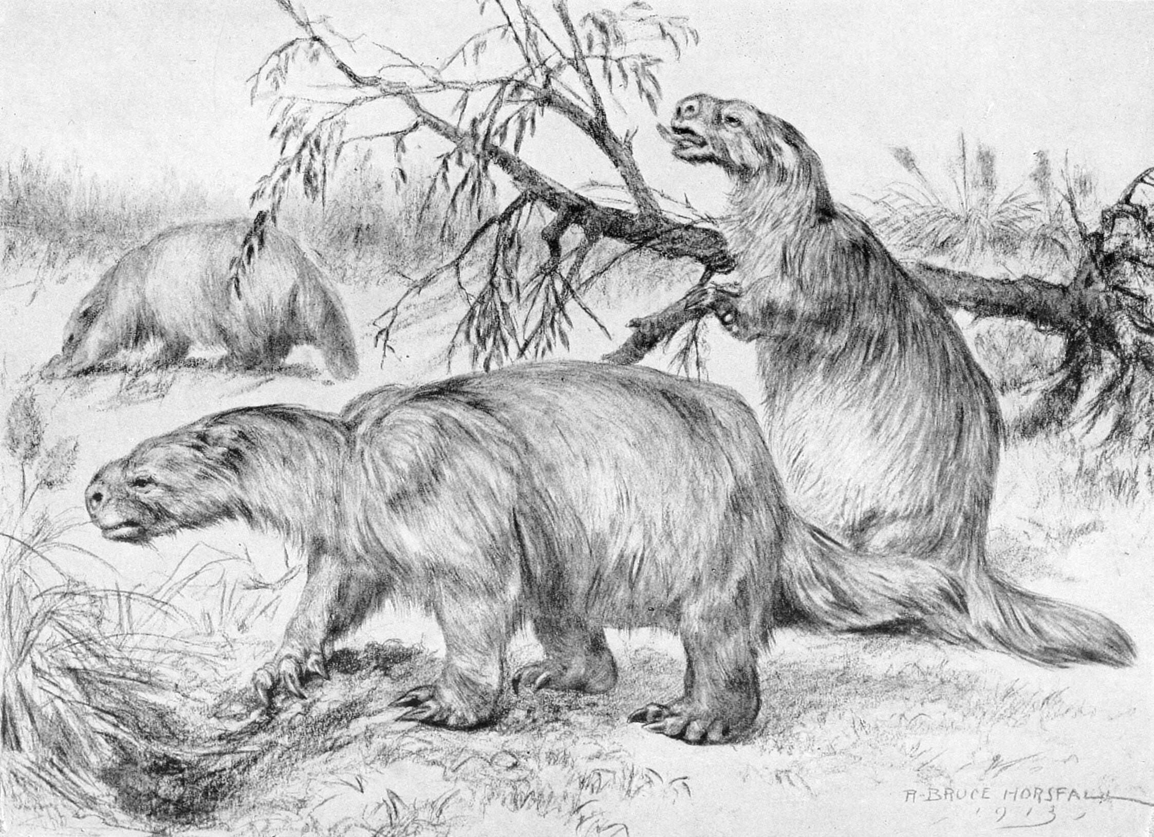 Extinct Glossotherium Sloth Glossy Poster Picture Photo Print Banner ...