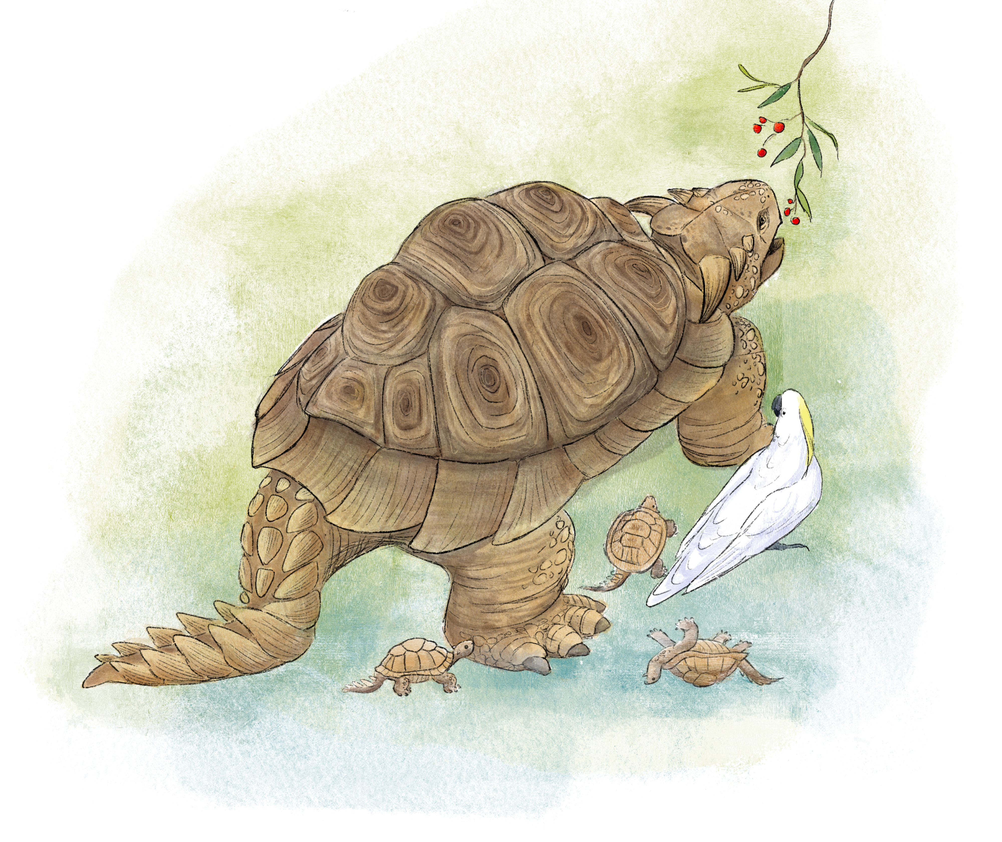 Extinct Meiolania Horned Turtle Glossy Poster Picture Photo Print ...