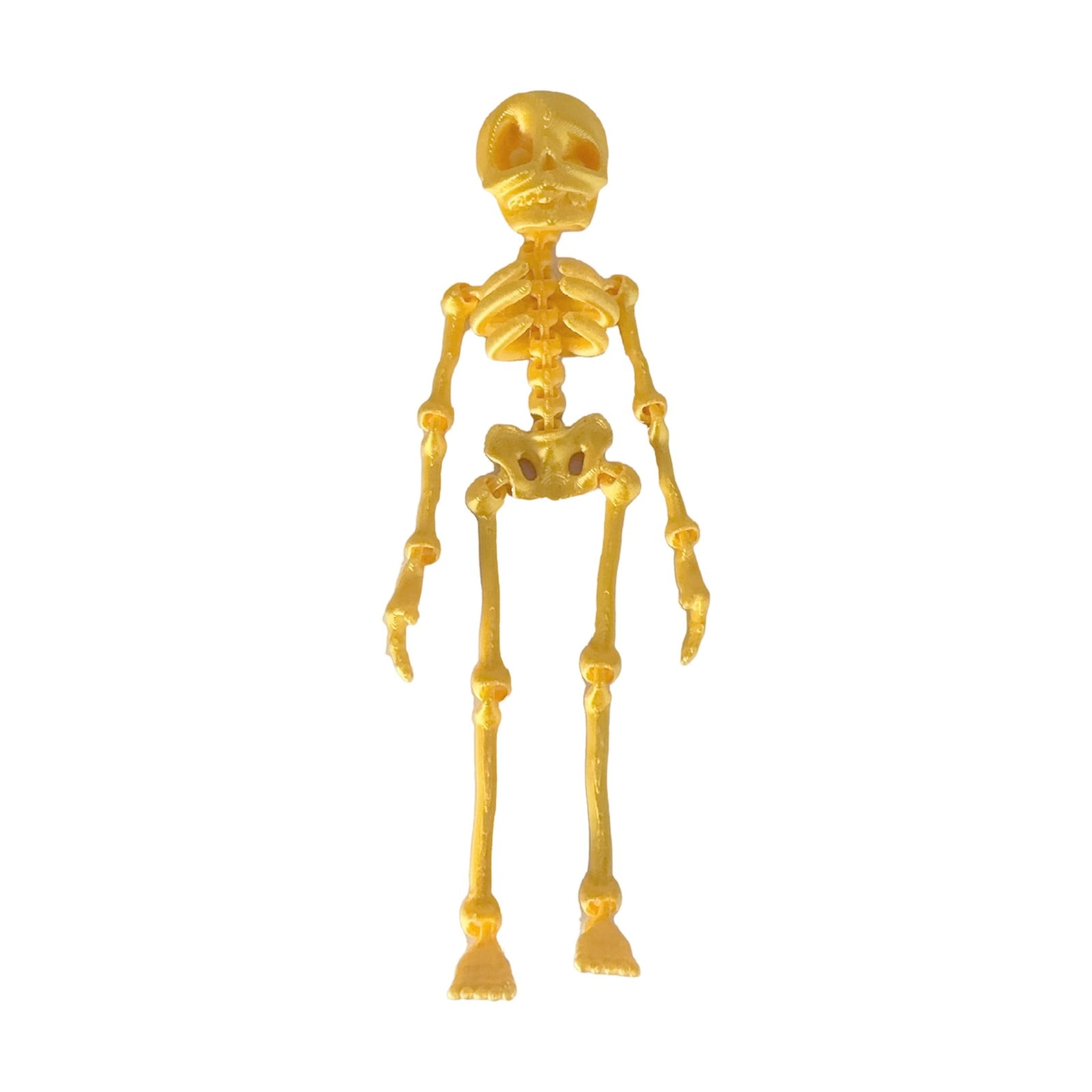 EXlal Poseable Skeleton Fridge Magnet 4.7 Inches, Mini 3D Printed Skull ...