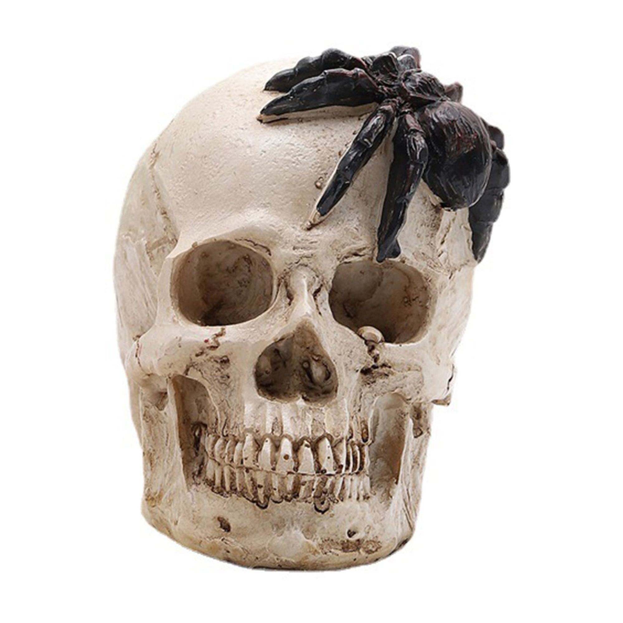 EYIIYE Halloween Skull Statue Realistic Spider Skull Figurine with LED ...
