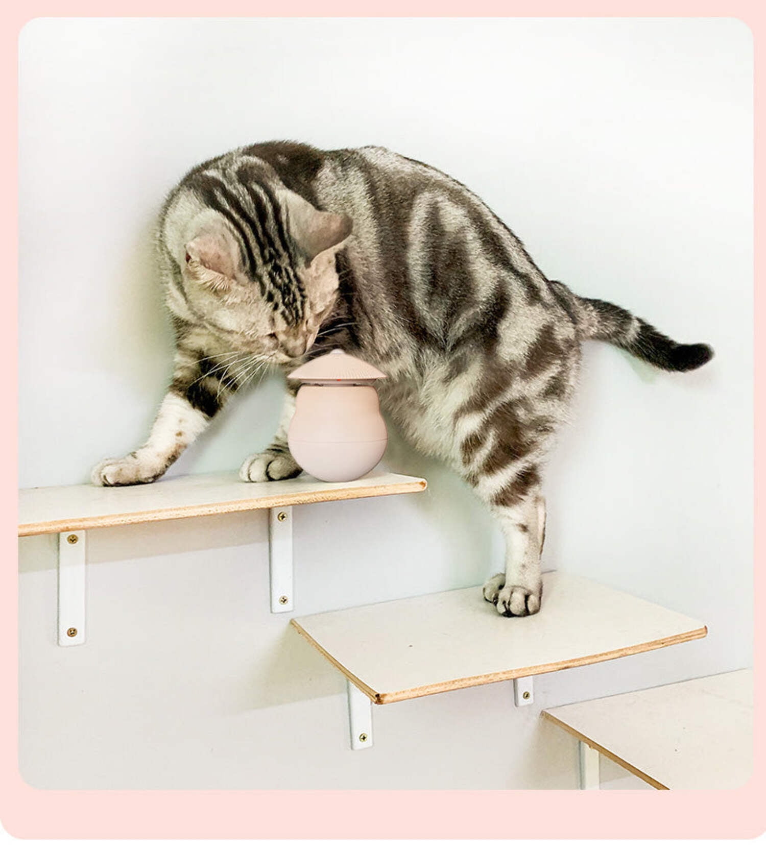 EYS Interactive Tumbler Laser Rotation Motion Cat Toy, Beige - Walmart.com