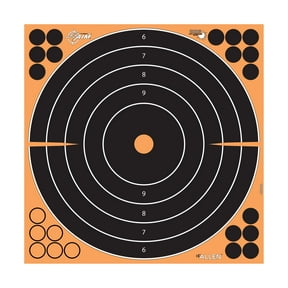 Bone Collector BC-300 Bag Field Point Archery Target - Walmart.com