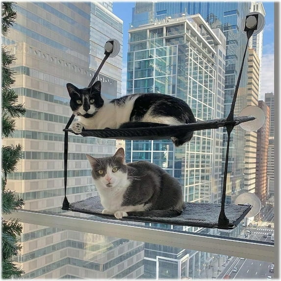 EZ Mount Double Stack Cat Window Perch for Large Cats Sturdy Window ...
