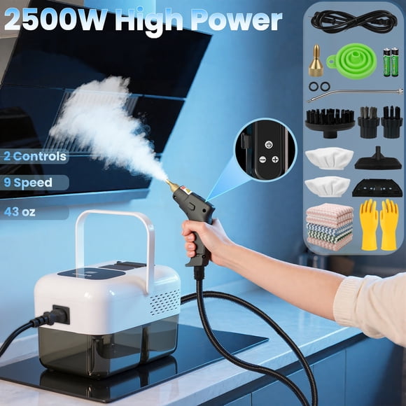 Cleaning Steamer