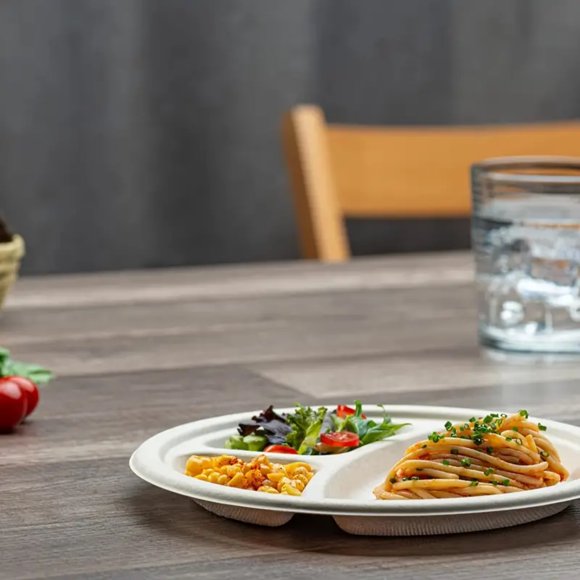 Chinet Compartment Paper Plates