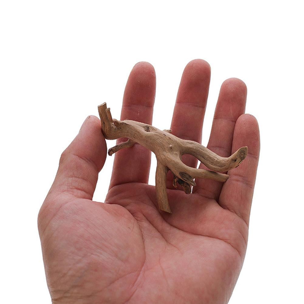 EZLIFE EKIDAZB Natural Coral Driftwood for Aquarium,Assorted Shapes ...