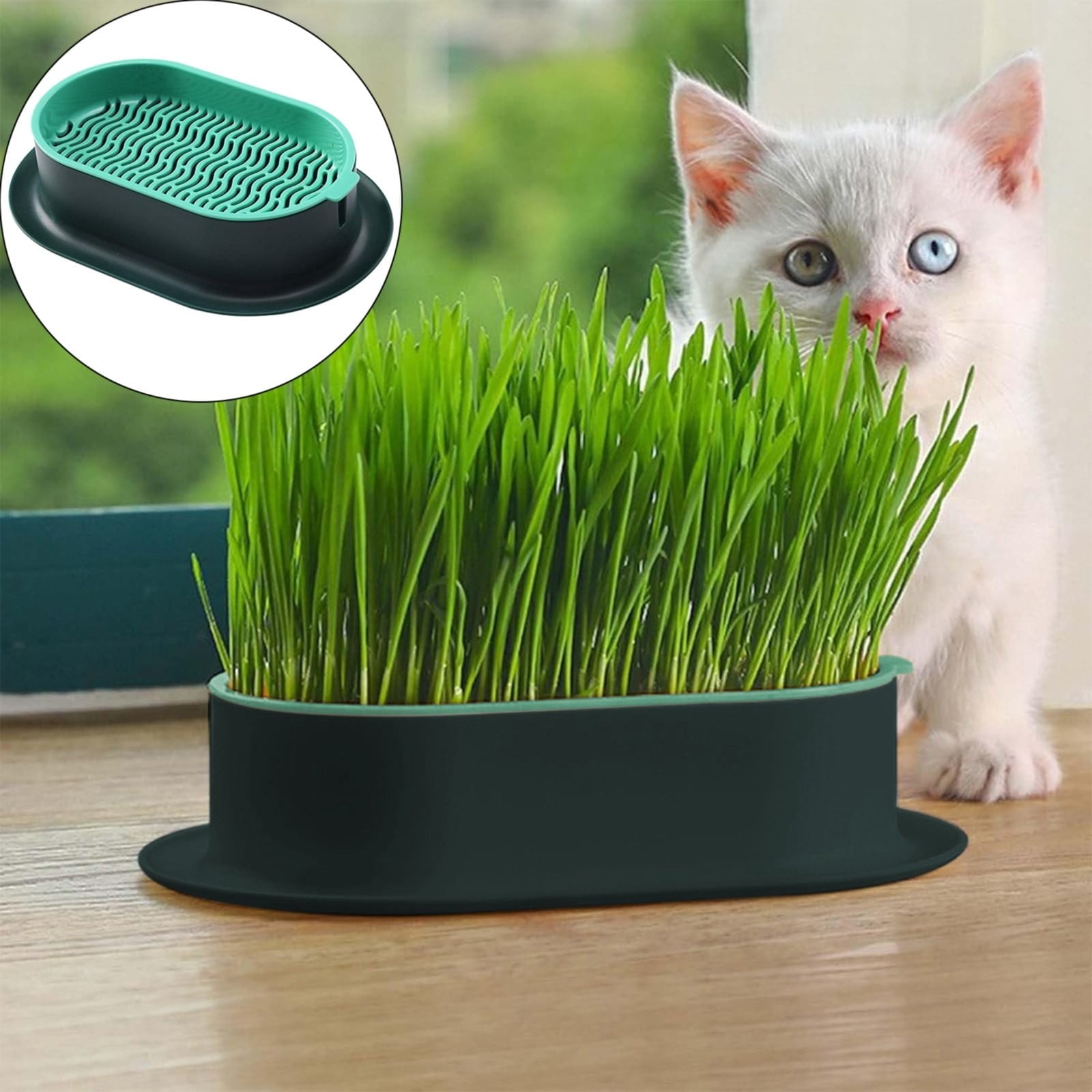 EZPXFCI 1 Pcs Cat Grass Planter (No Seeds Included) Wheatgrass Planting ...