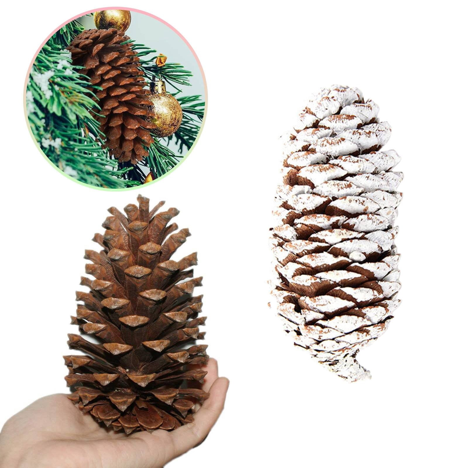 EZPXFCI Natural Pine Cones for Crafts, 1" to 4" Tall Pine Cones Craft ...