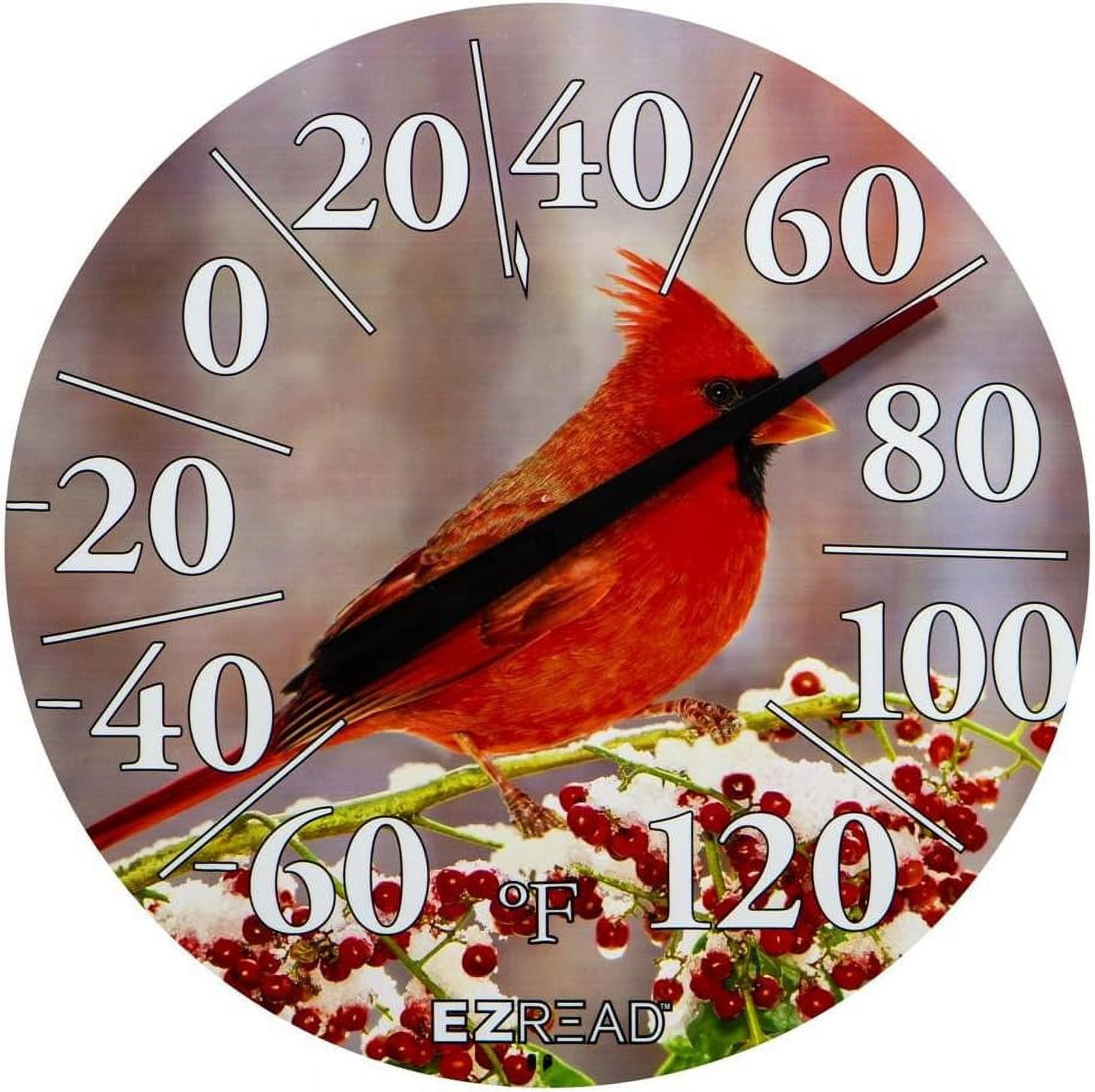 EZREAD Hanging Dial Thermometer 840-1225 Weather Thermometers for ...