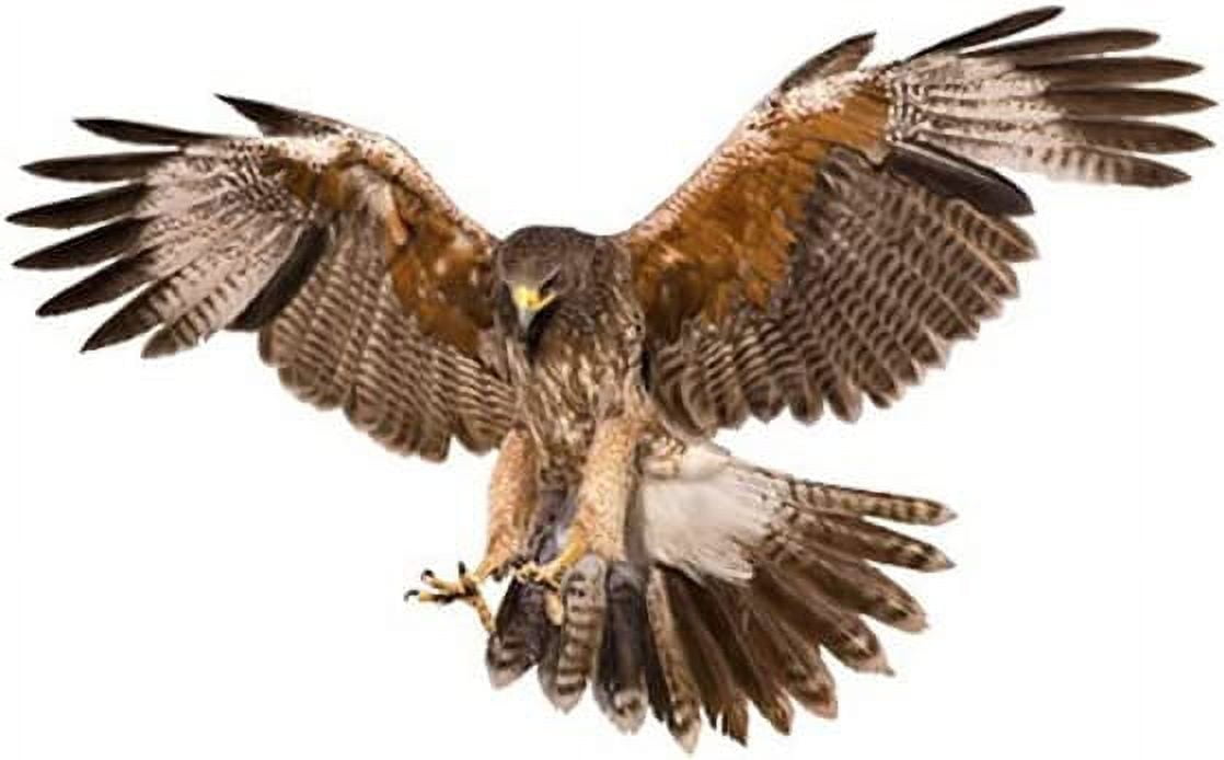 Eagle 3D Stickers Sovob Flying Eagle Sticker Eagle Wings Car Emblem ...