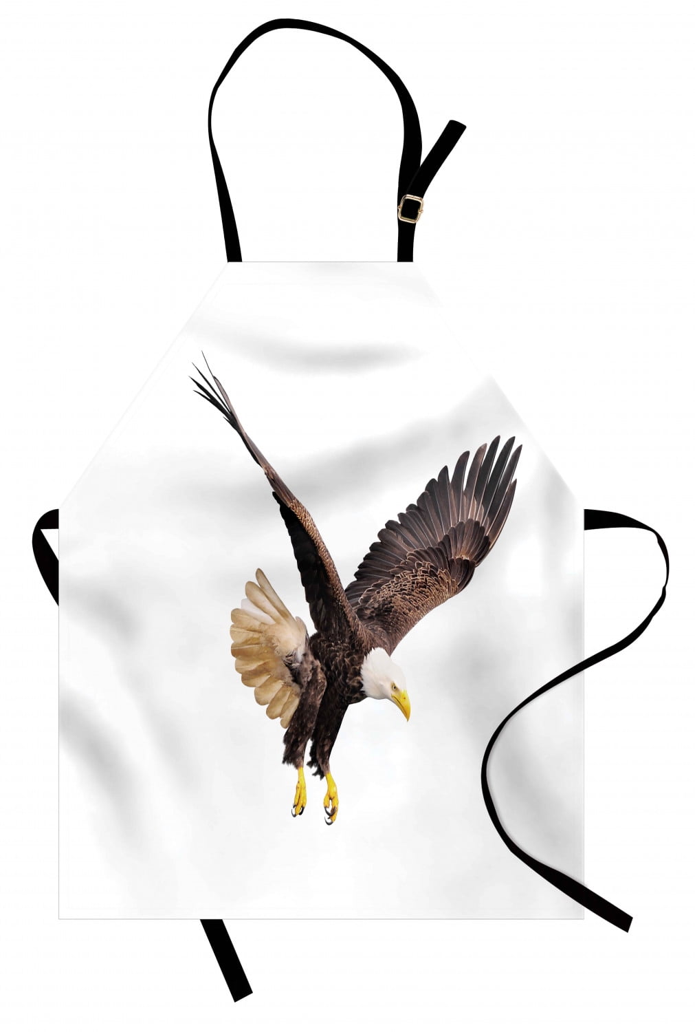 Eagle Apron Image of a Hunter Flying Looking for Prey Predator Scenes ...