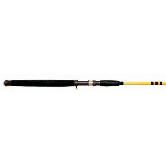 Eagle Claw Spinning Rods