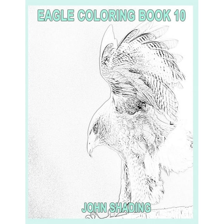 eagle coloring book