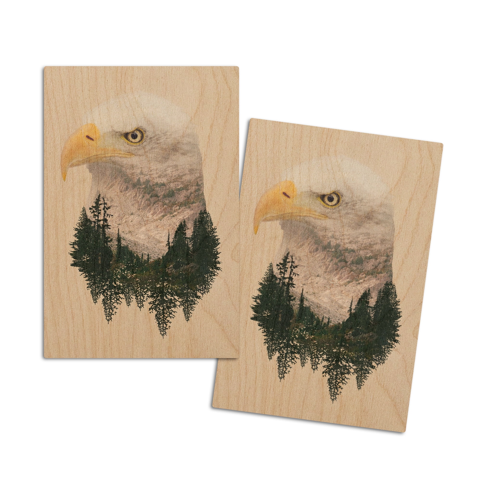 Eagle, Double Exposure (4x6 Birch Wood Postcards, 2-Pack Stationary ...