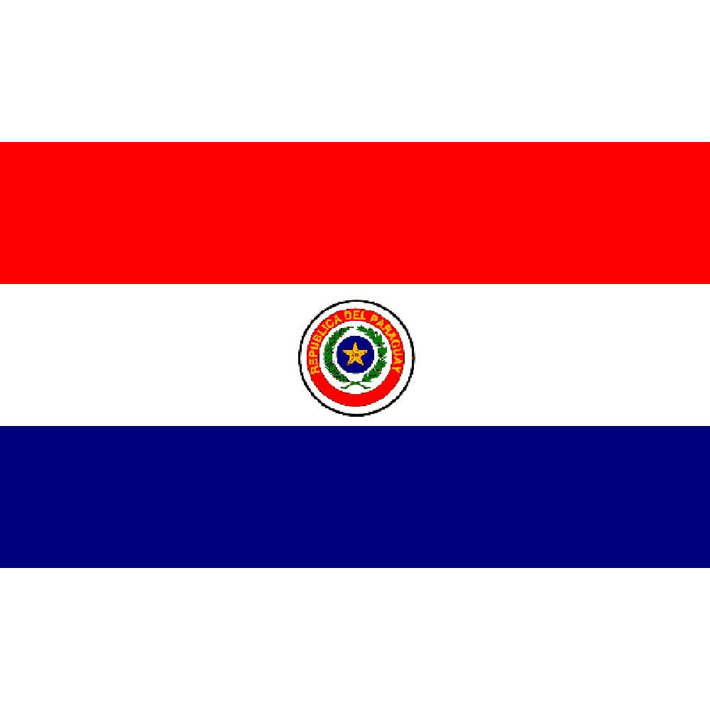 Eagle Emblems Paraguay Flag with Grommets 3ft x 5ft - Walmart.com