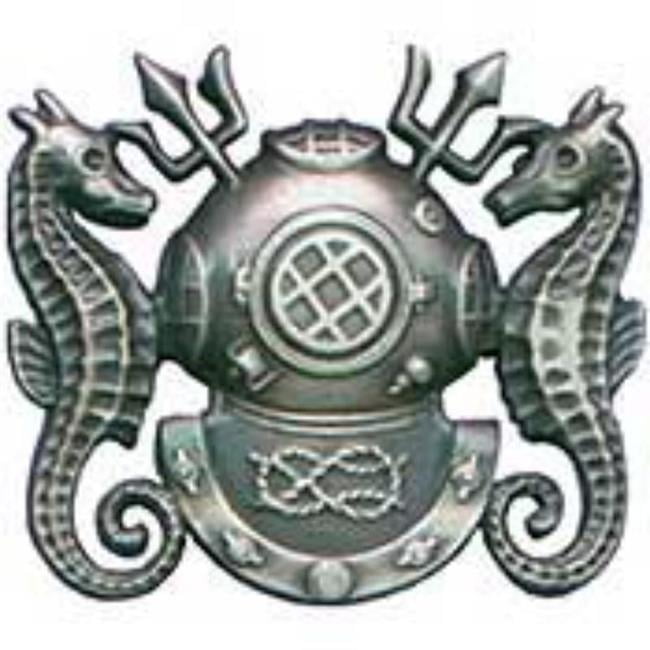 Eagle Emblems P12745 Pin - Diver, Scuba Master - Walmart.com