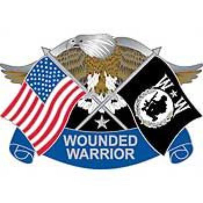 Eagle Emblems P12608 Pin - Wounded Warrior Eagle - Freedom isnt Free ...