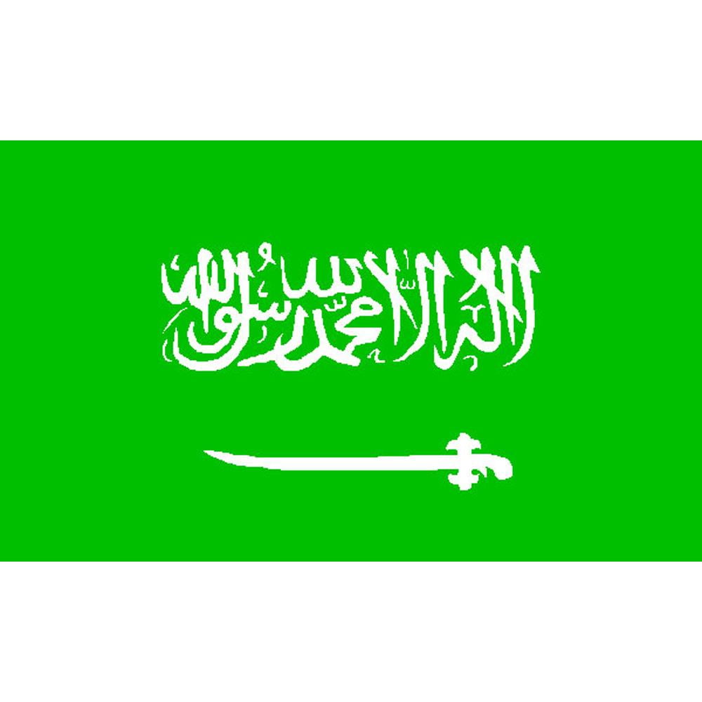 Eagle Emblems Saudi Arabia Flag with Grommets 3ft x 5ft - Walmart.com