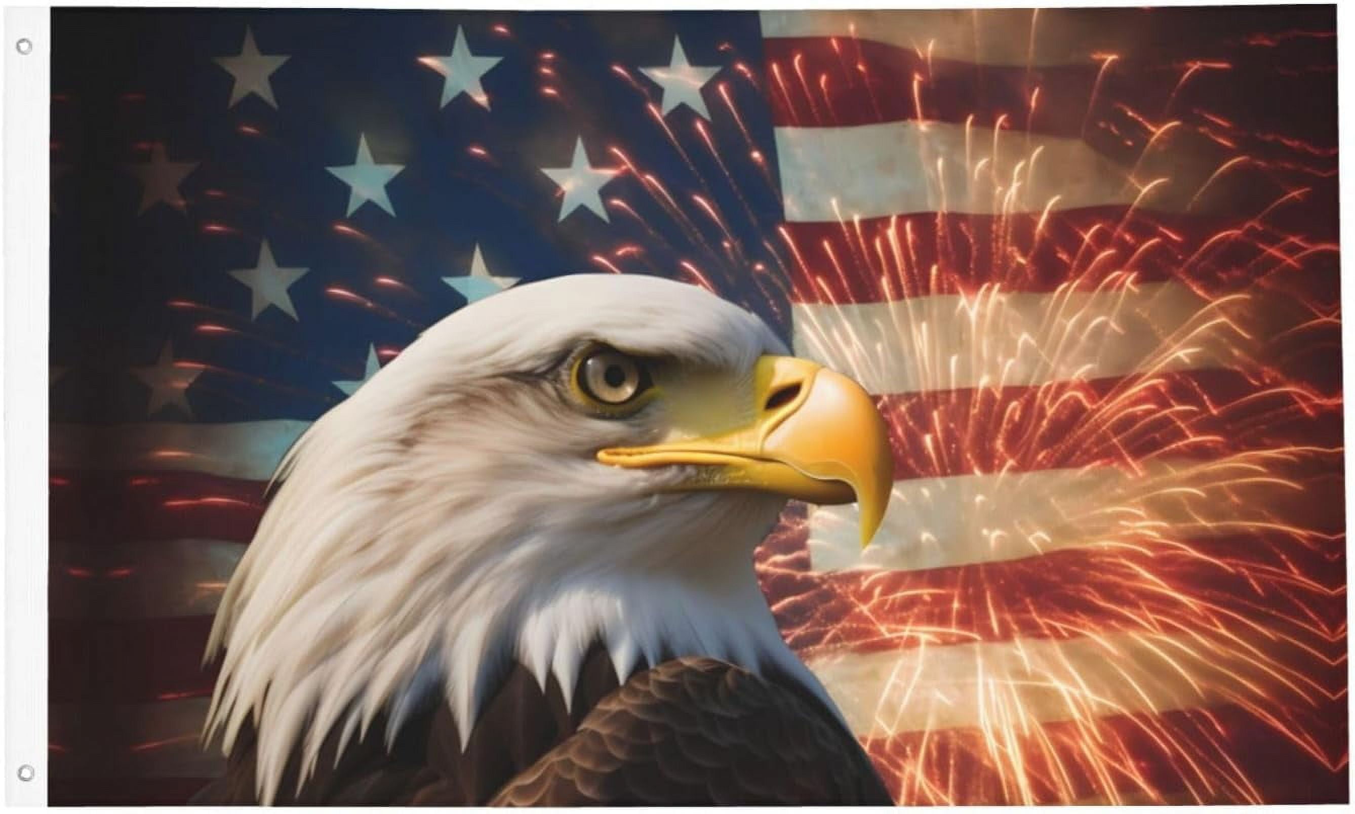 Eagle Flag Double Sided Outside Large Banner, Flag Hanging Outdoor ...