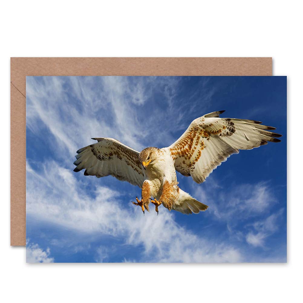 Eagle Hunting Attack Birthday Greetings Card Plus Envelope Blank inside ...