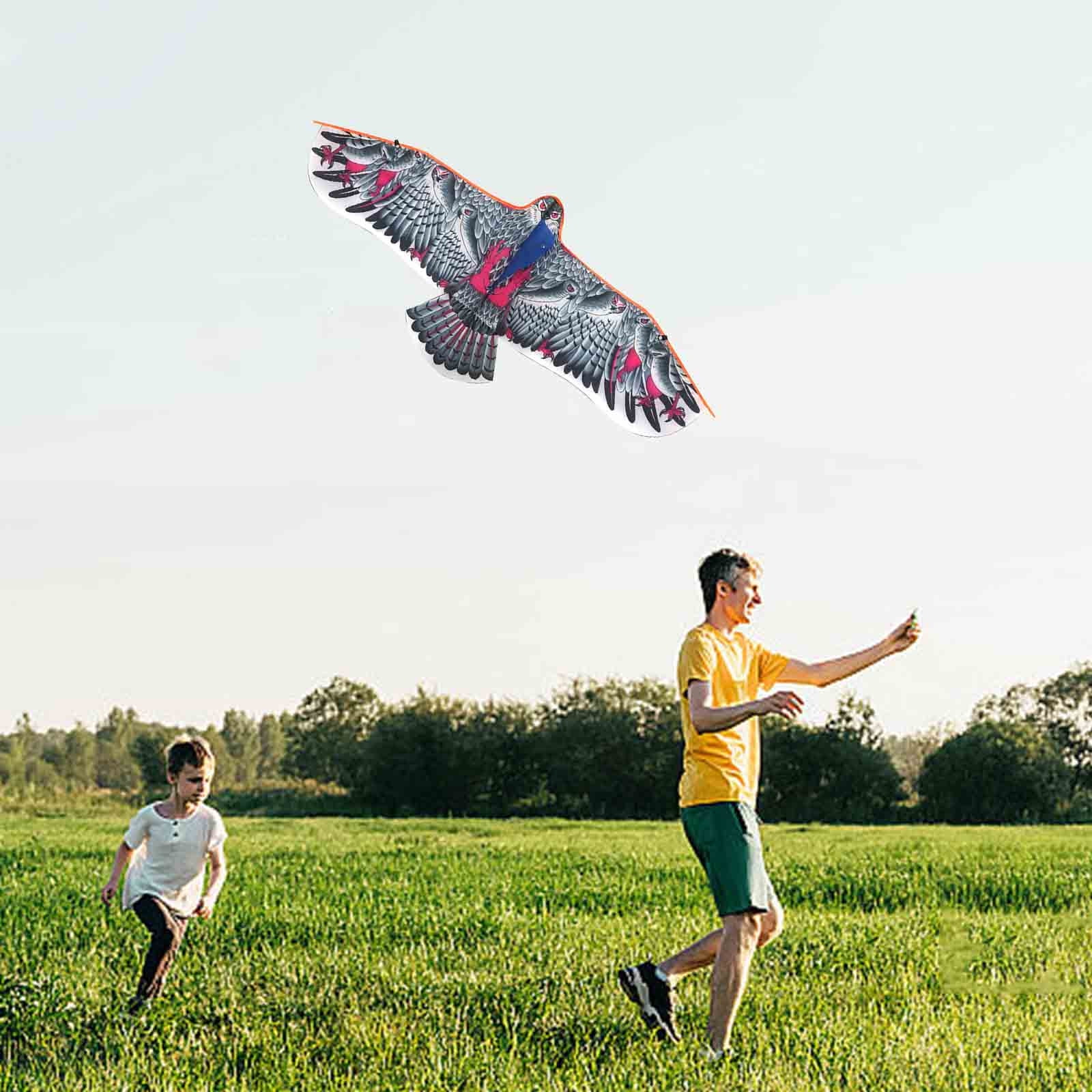 Eagle Kite for Kids and Adults, Single Line String Easy to Fly for ...