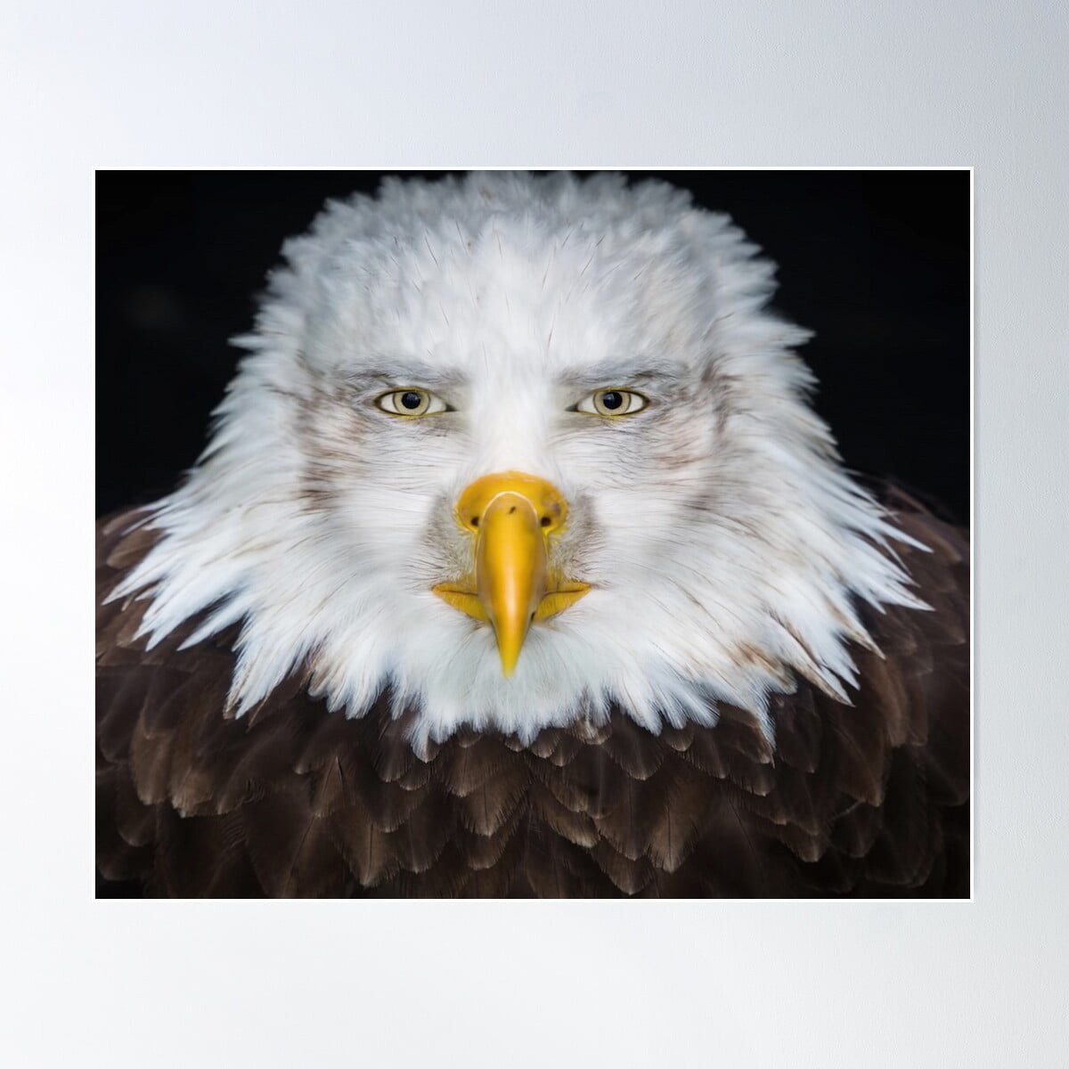 Eagle Man Meme Poster Wall Art, Modern Wall Decor For Living Room ...