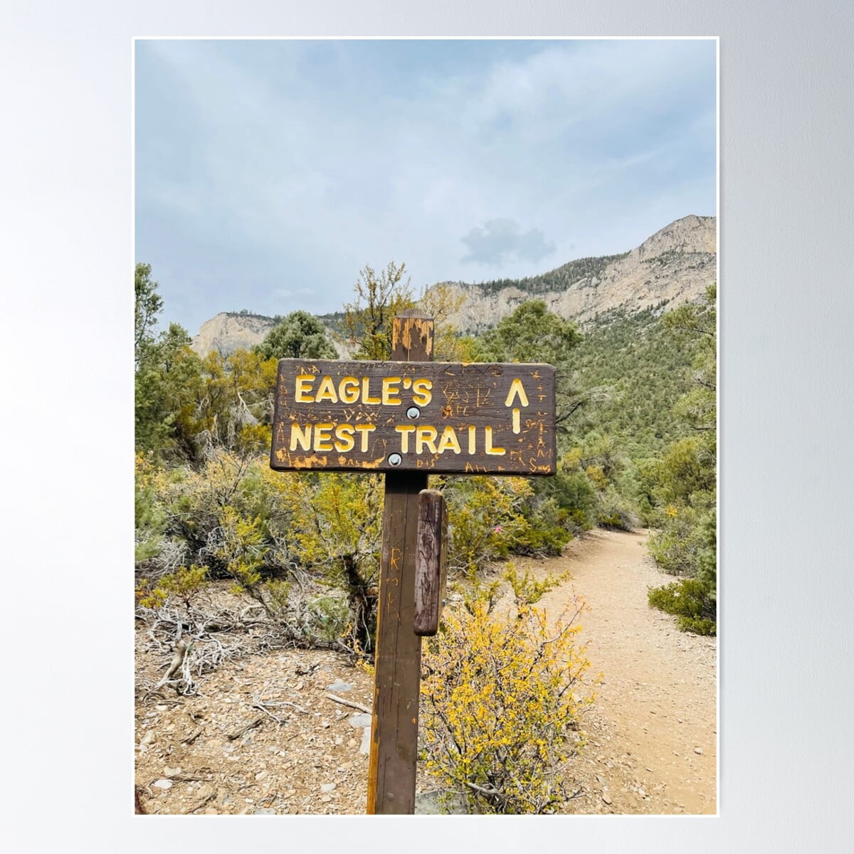 Eagle'S Nest Poster Wall Art, Modern Wall Decor For Living Room Bedroom ...