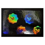 Eagle Seal ID Hologram Overlays Inkjet Teslin ID Cards (50) - Walmart.com