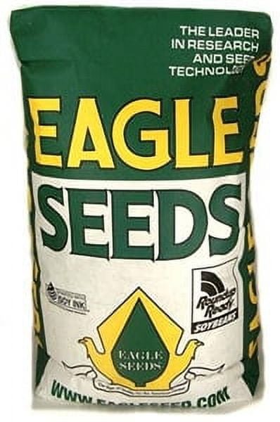 Bulk Big Fellow RR (Roundup Ready) Soybean Seed - 15 lbs High-Protein ...