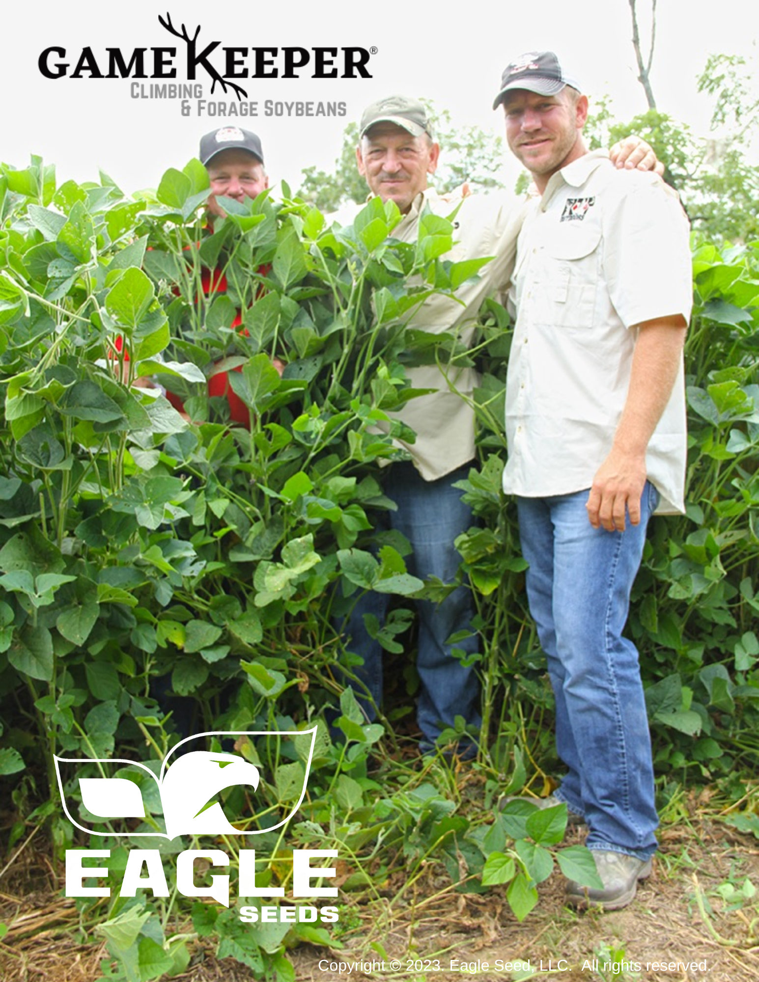 Eagle Seed Game Keeper Premium Southern Forage Soybean Blend ...