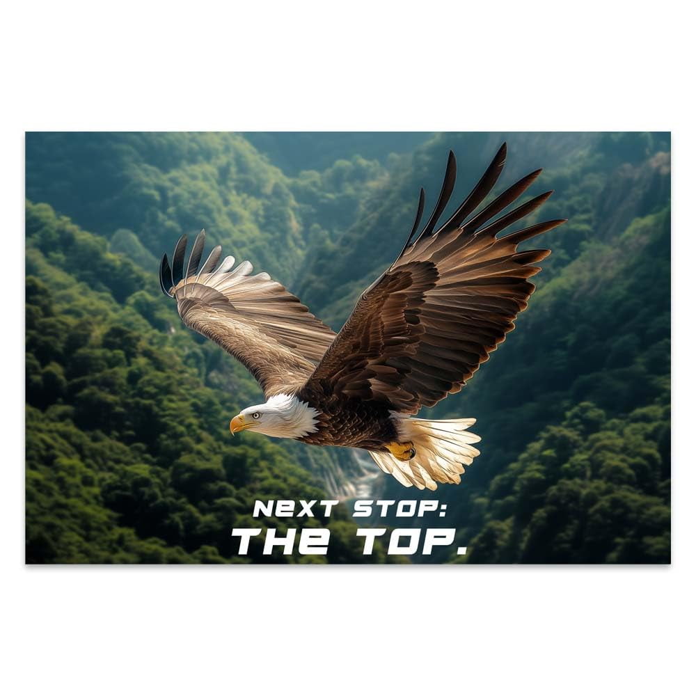 Eagle Wall Art, Inspirational Picture Prints Poster Office Decor ...