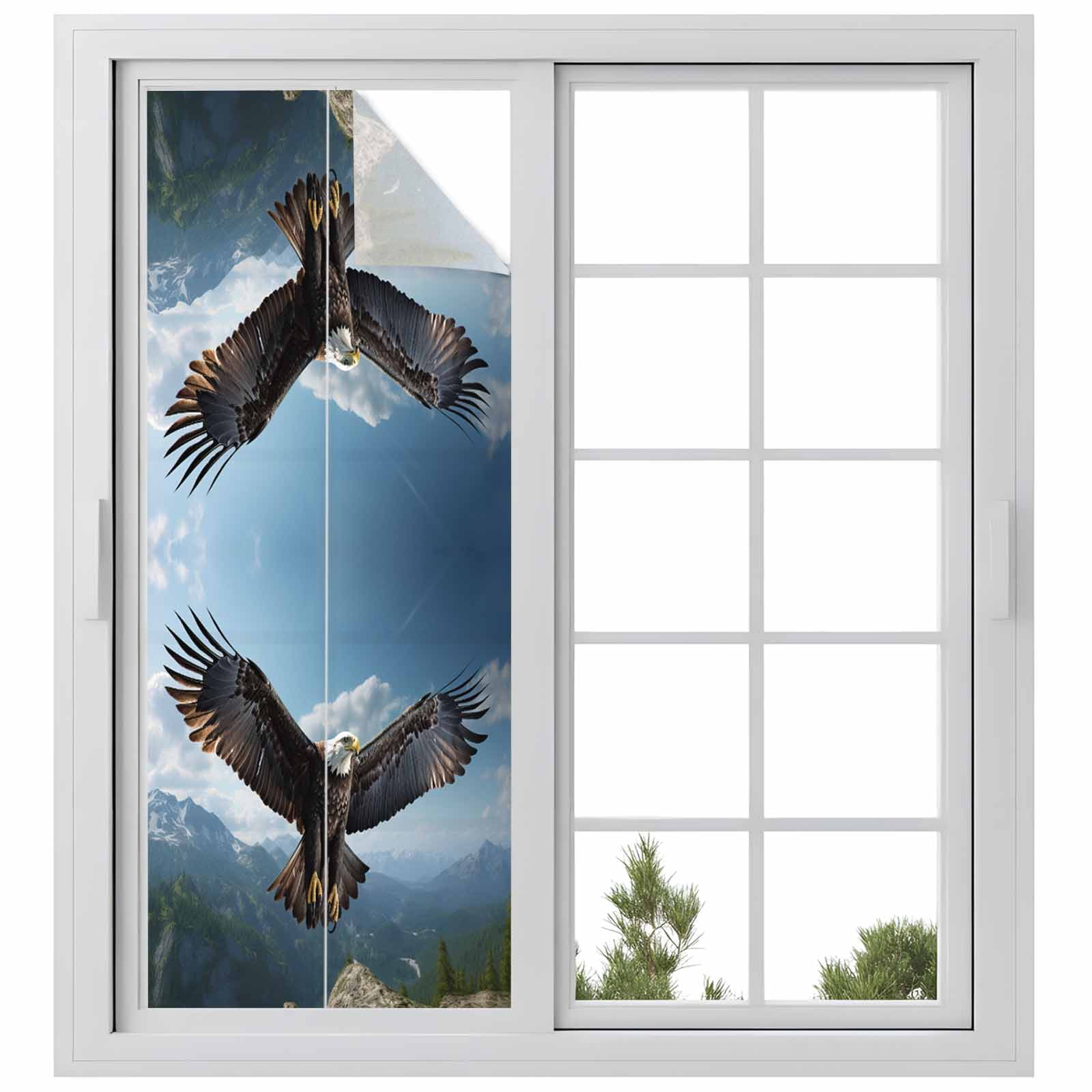 Eagle Window Privacy Film, Forest Mountains Range Sky Animal Natural ...