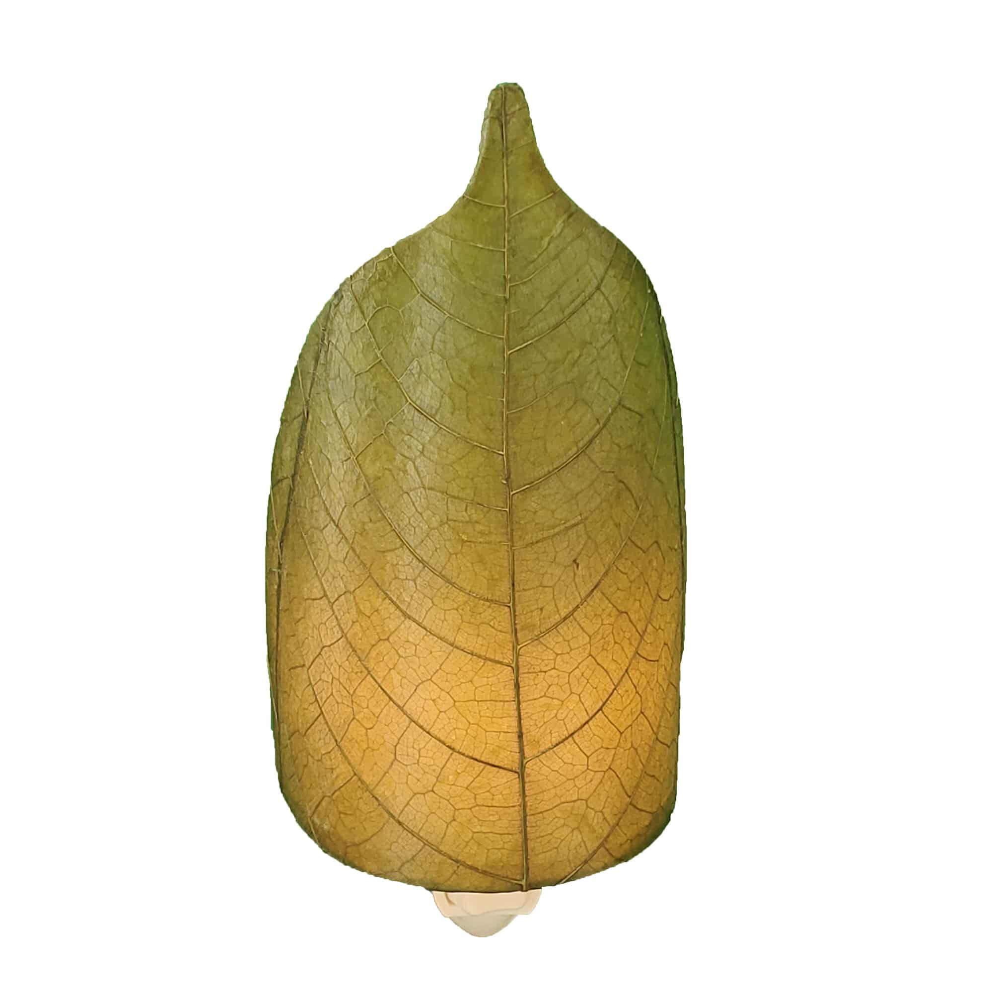 Eangee Leaf Night Light Green - Walmart.com