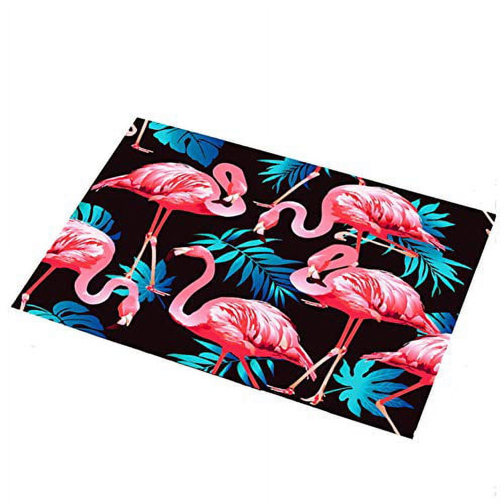 Eanpet Front Door Mat Outdoor Flamingo Rug 2x3 Modern Area Rug Rubber ...