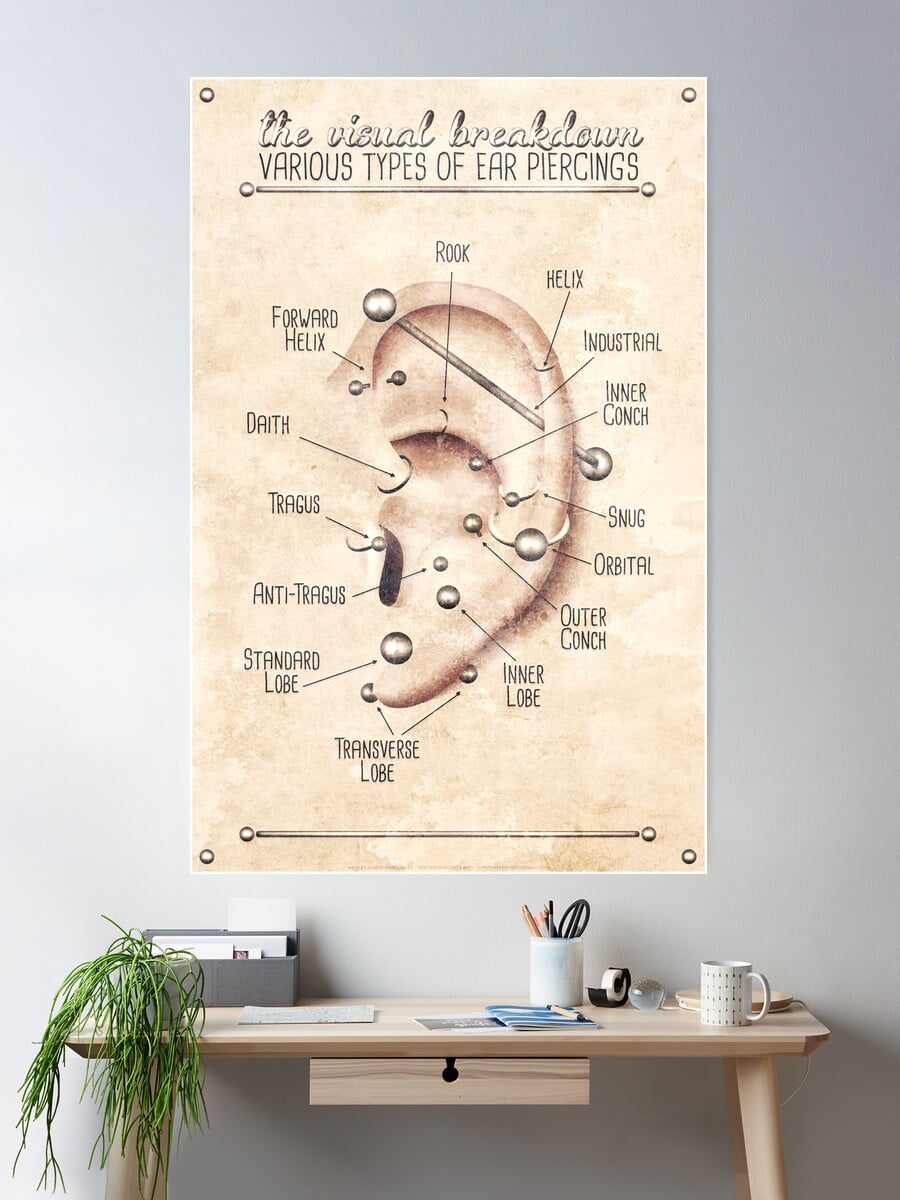 Ear Piercing Chart, Vintage Grunge Poster Wall Art, Modern Wall Decor ...