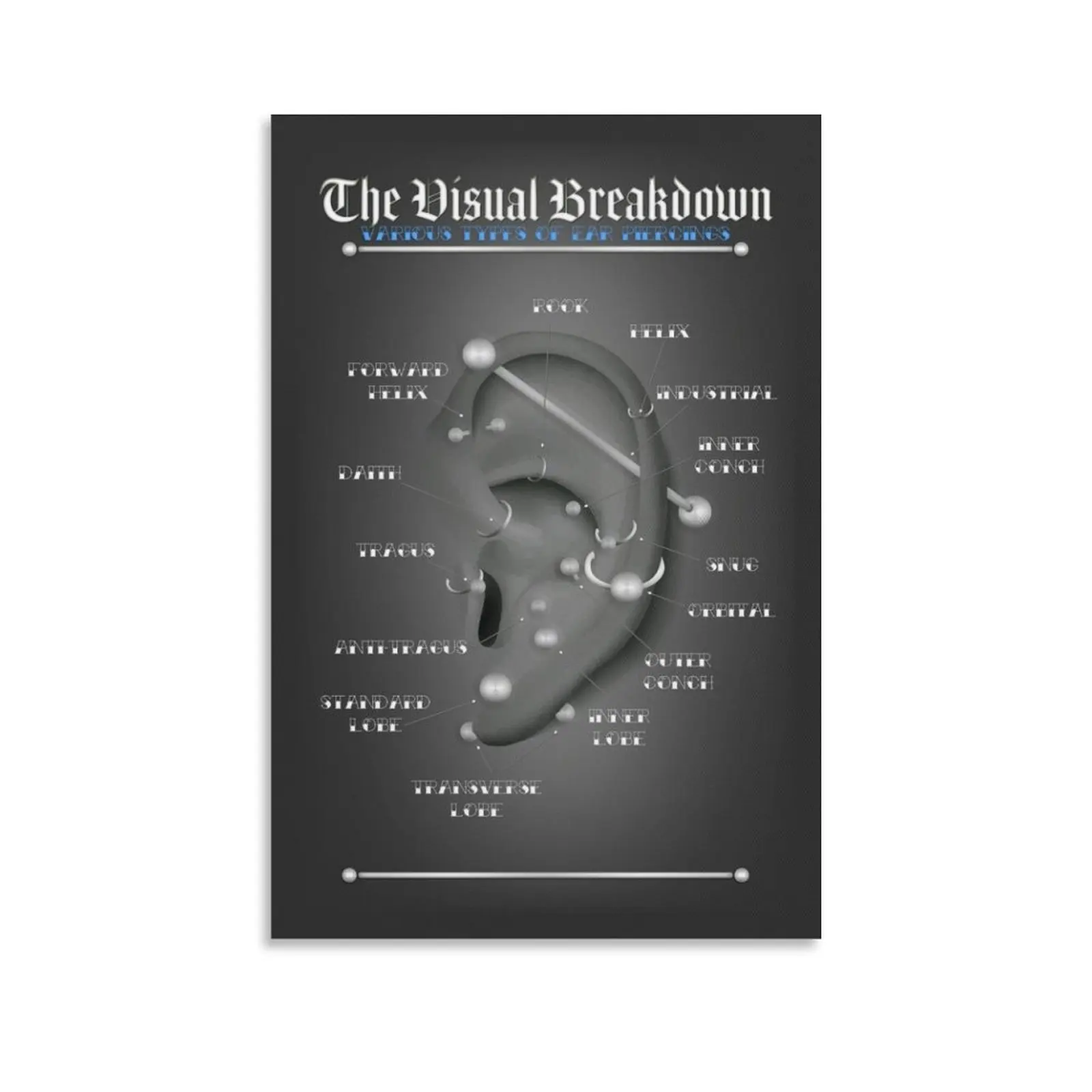 Ear Piercing Infographic Chart Black and Blue Canvas Painting office ...