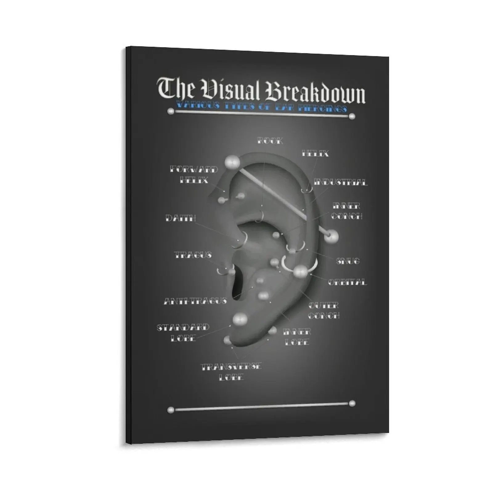 Ear Piercing Infographic Chart Black and Blue Canvas Painting office ...