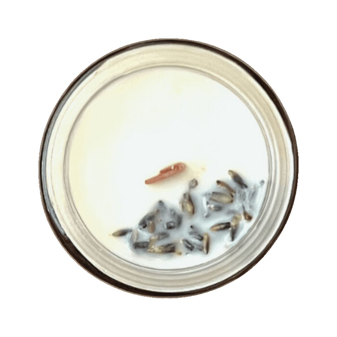 'Earl Grey & Lavender Creme' Wooden Wick Soy Candle - Walmart.com