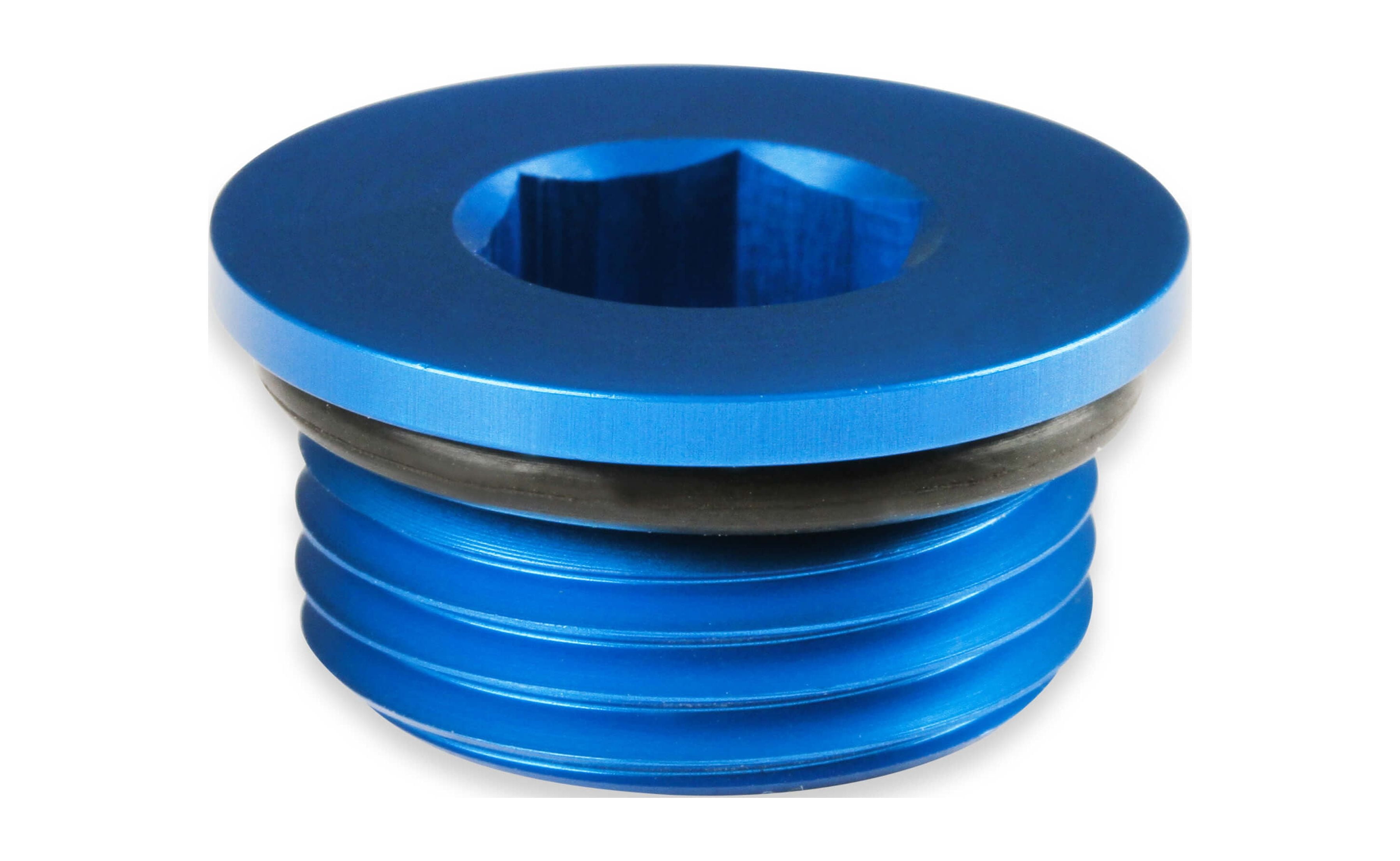 Earl's Performance 981310ERL Aluminum AN O-Ring Port Plug - Walmart.com