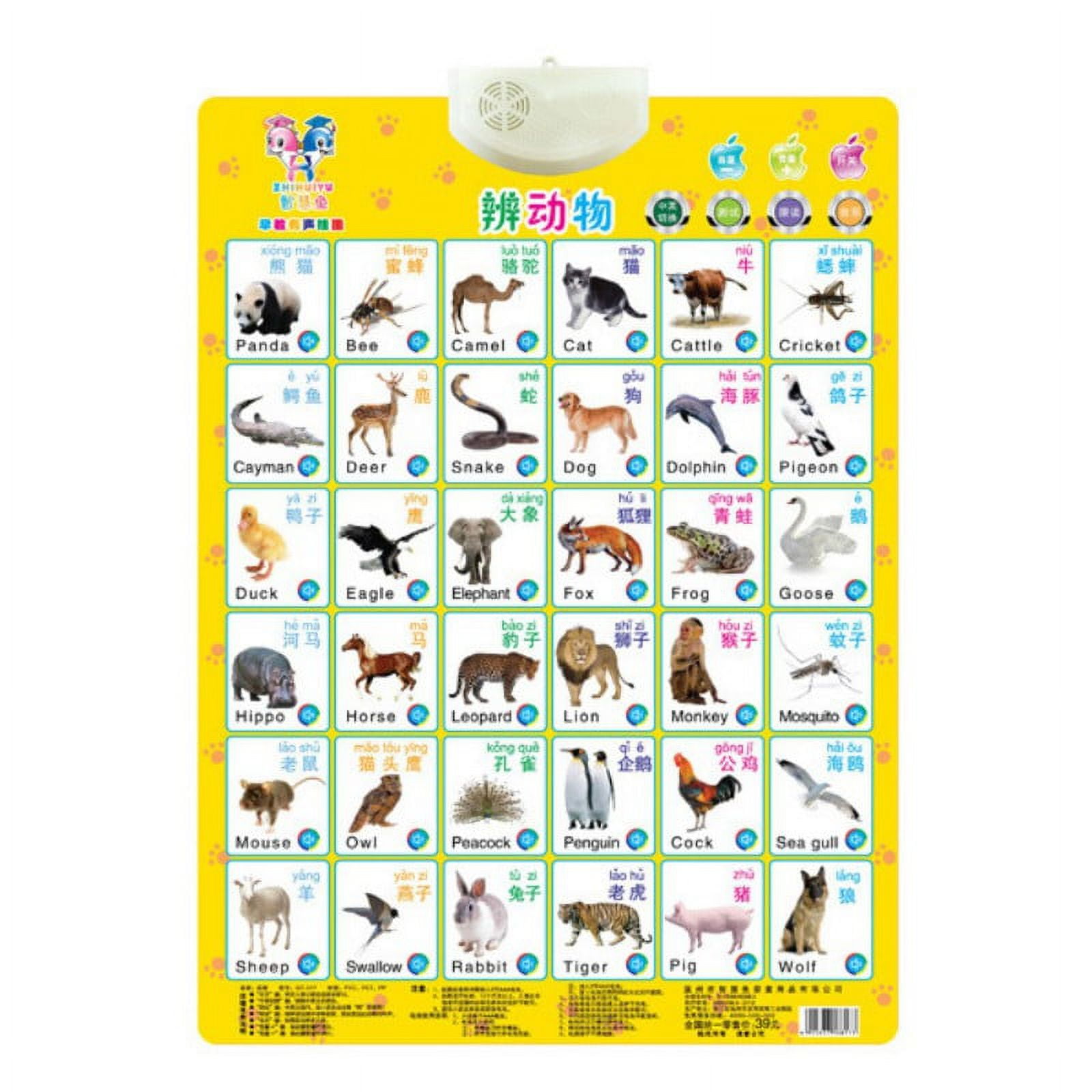 Early Childhood Voice Alphabet Charts Toy Talking Poster Wall Chart ...