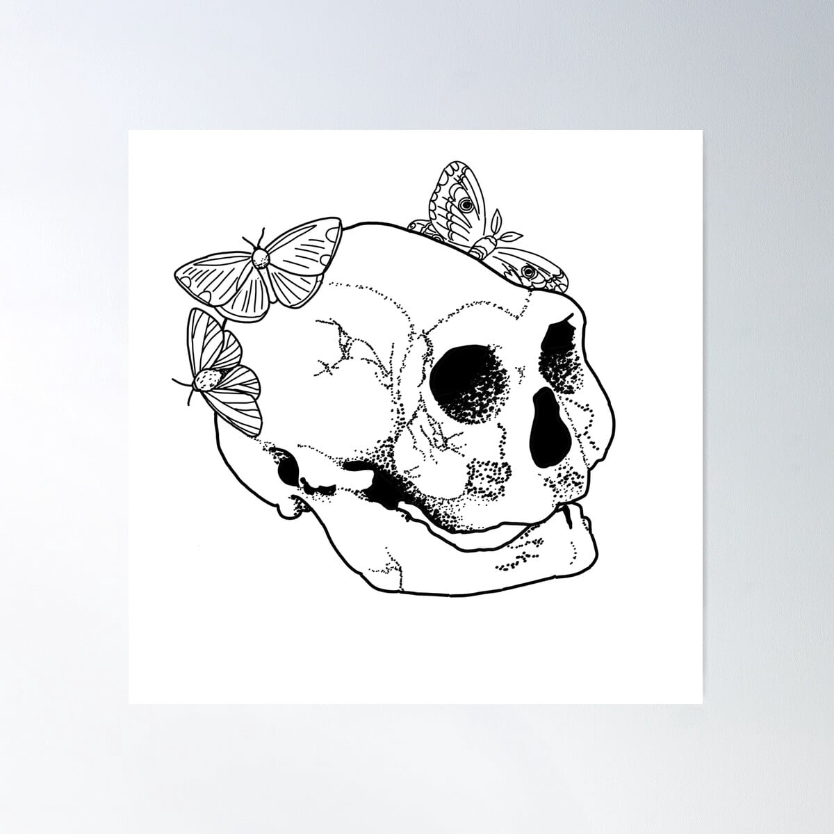 Early Hominin Cranium Poster Wall Art, Modern Wall Decor For Living ...