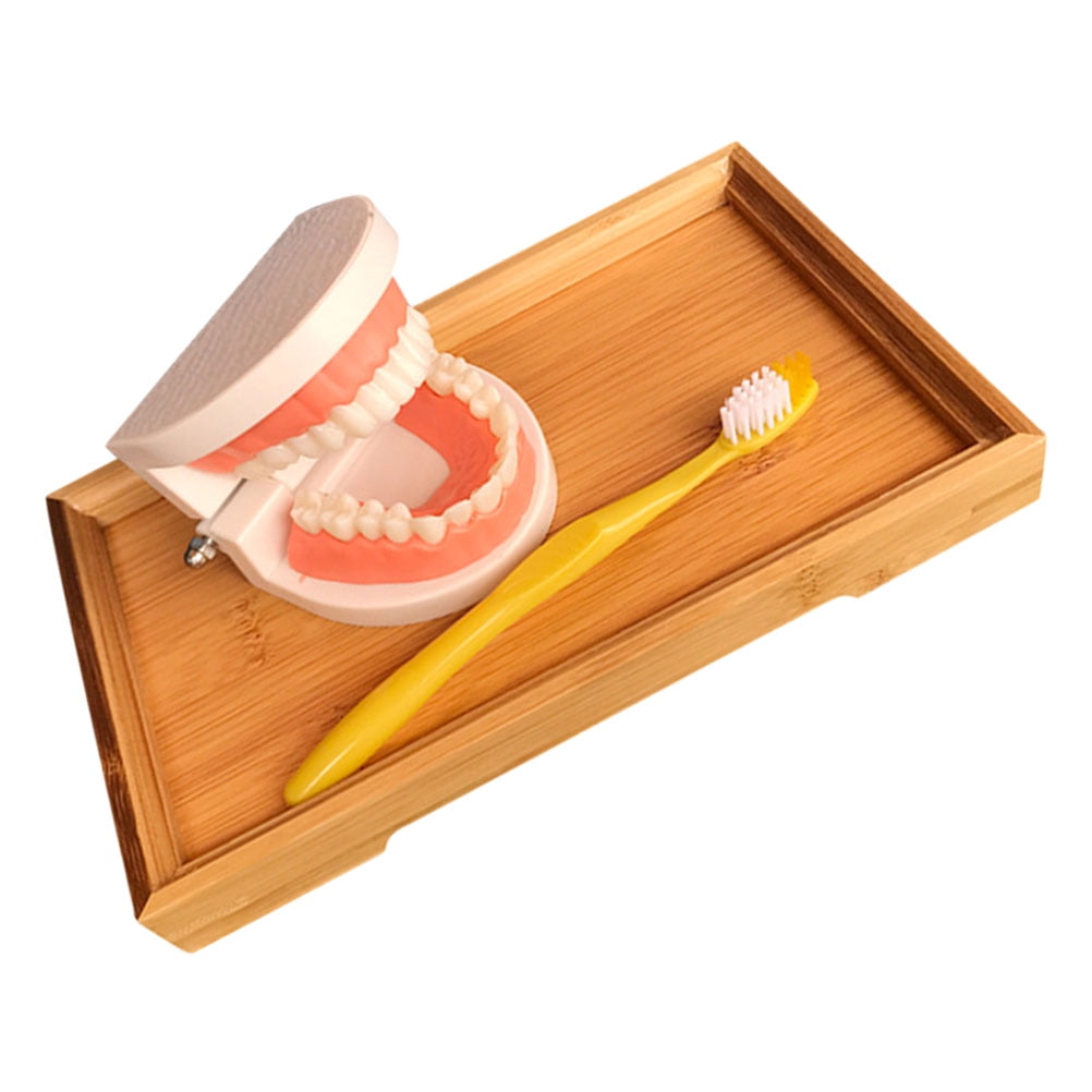 Early Learning Teeth Model Kids Brushing Toys Adult for Toddlers ...