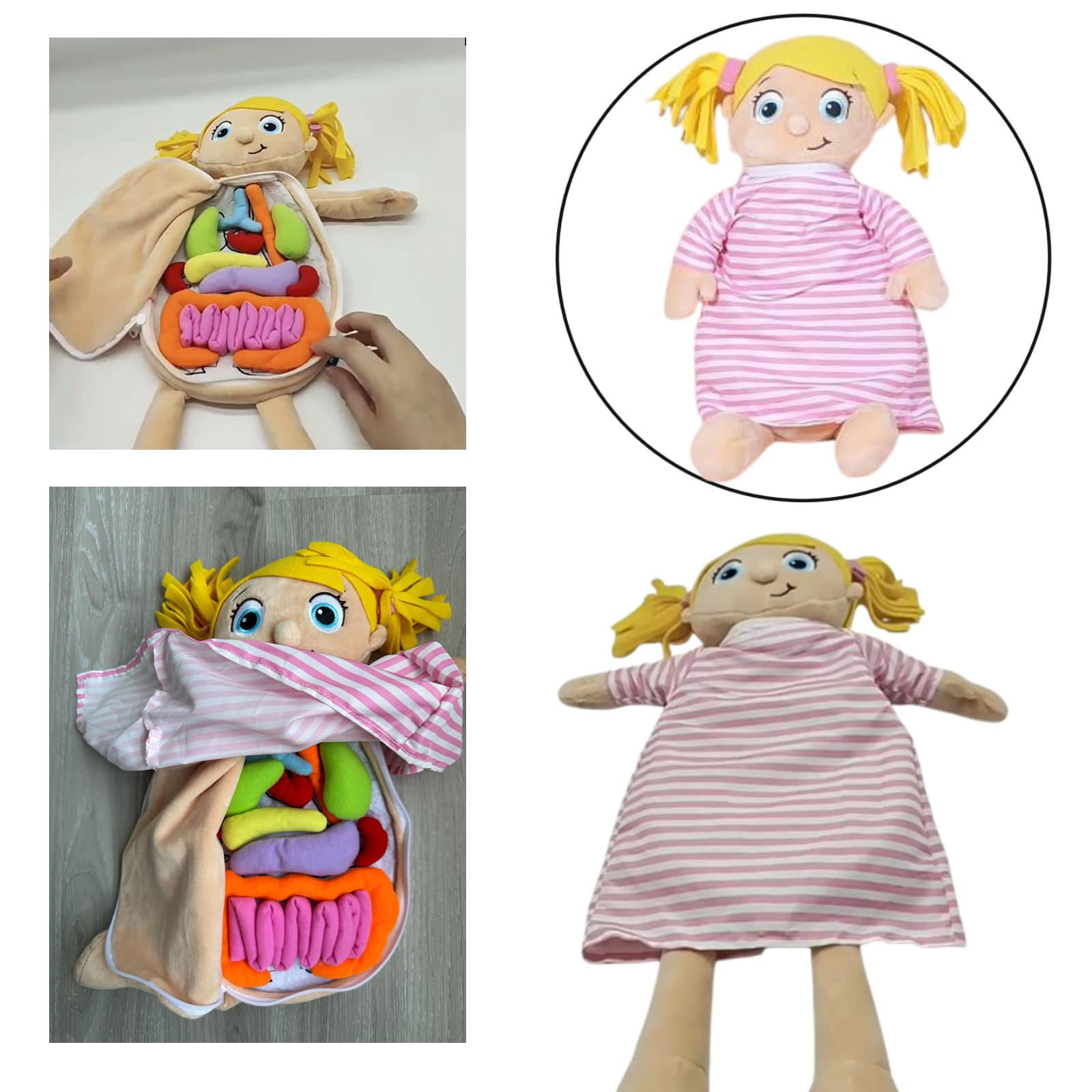 Early Learning Toys for Kids - Educational Dolls Featuring Human ...