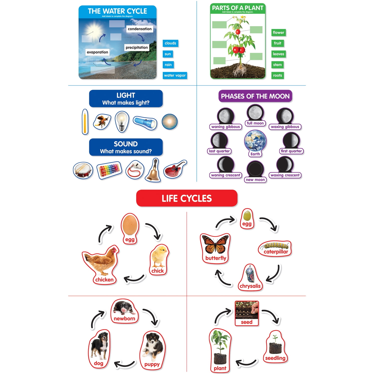 Early Science Concepts Bulletin Board Set - Walmart.com