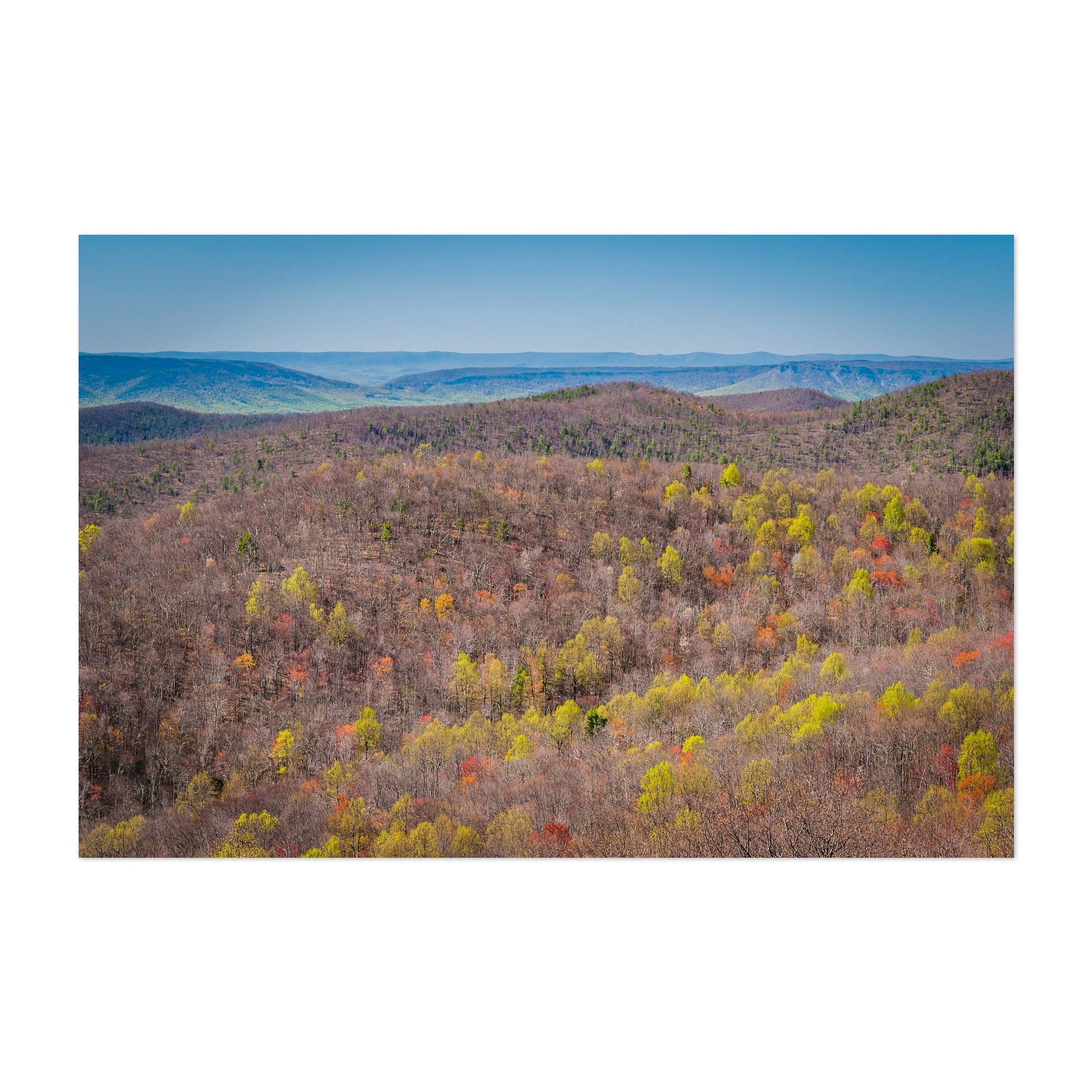 Early Spring - Virginia Photography Unframed Wall Art Print 5 x 7 ...