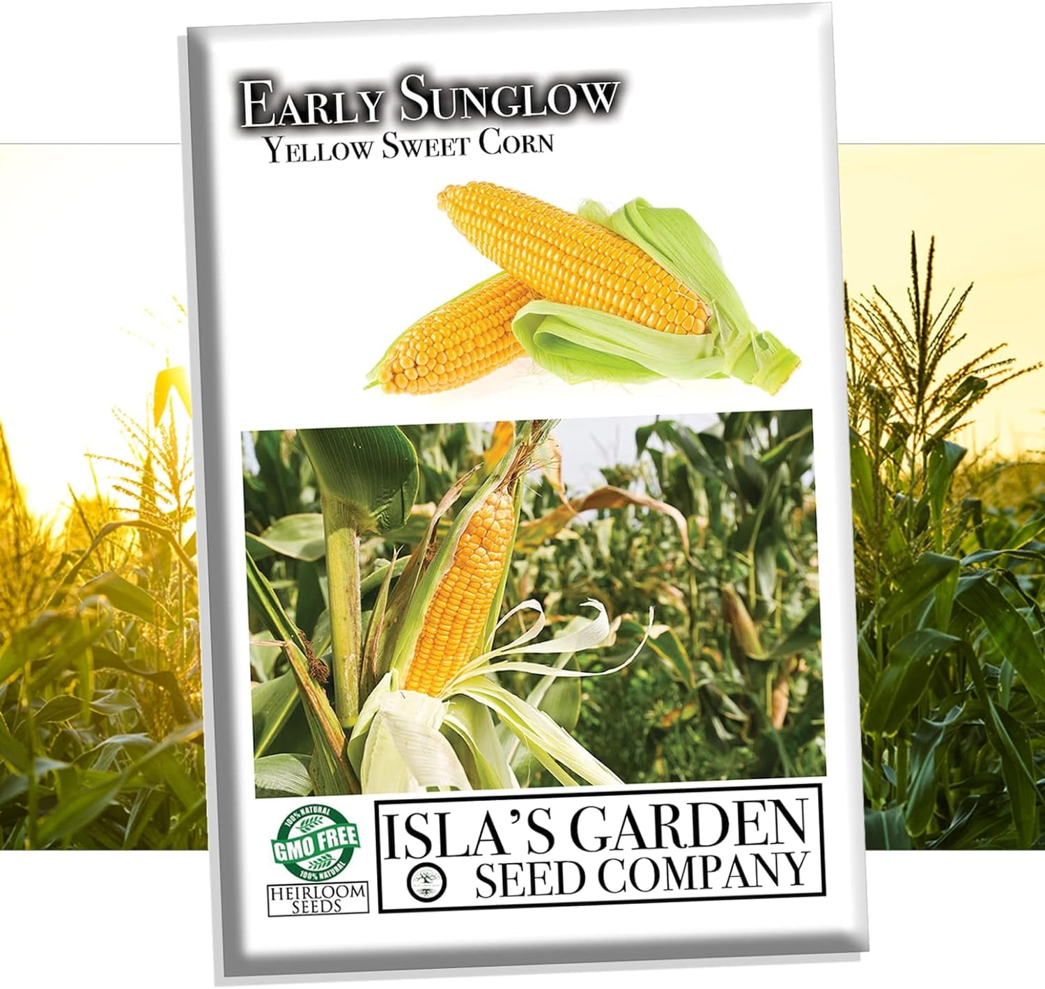 Early Sunglow Sweet Yellow Corn Seeds for Planting, 50+ Seeds Per ...