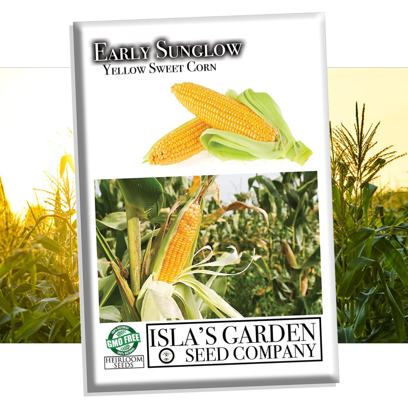 Early Sunglow SweetITSC Yellow Corn Seeds for Planting, 50+ Seeds Per ...