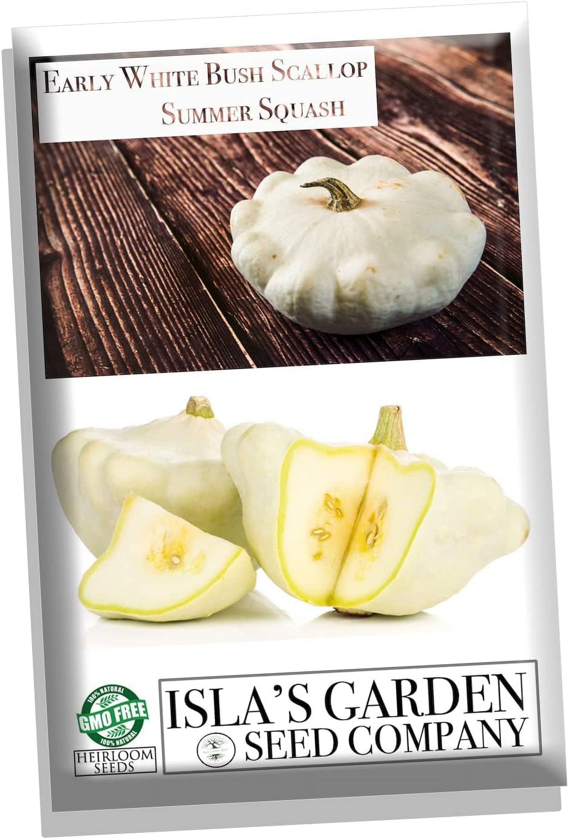 Early White Bush Scallop Squash Seeds (Cucurbita pepo) – 30+ Heirloom ...