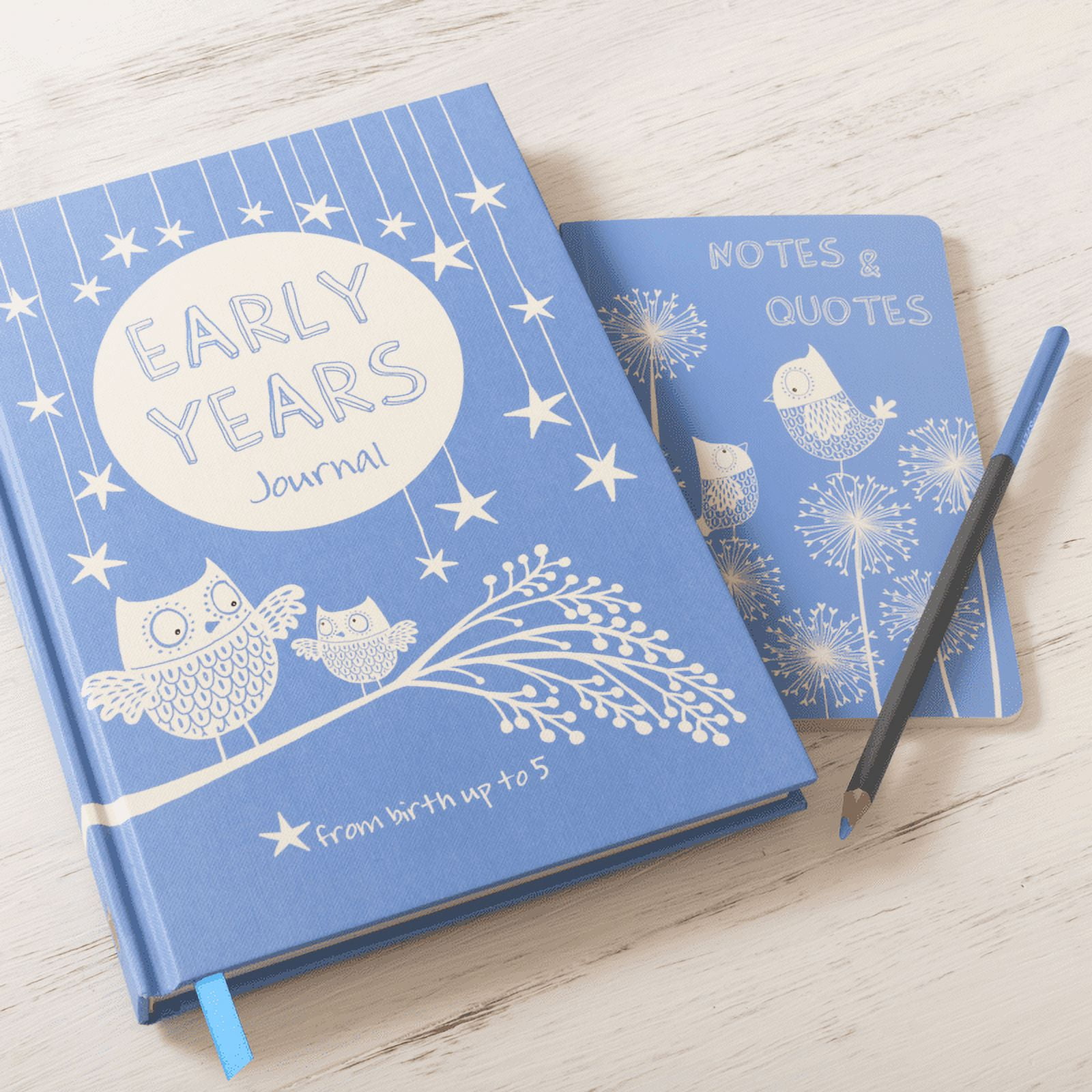 Early Years Journal (Blue), Birth to five years, pre-school record book ...