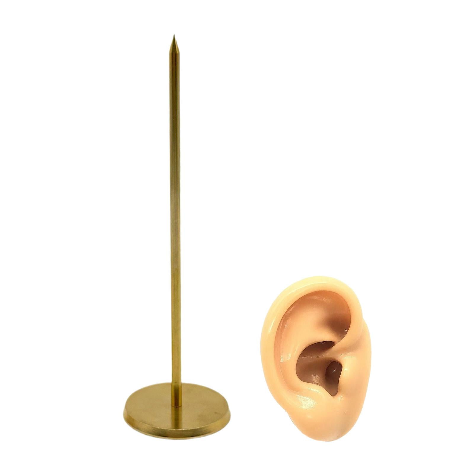 Earring Display Holder, Mannequin Stand Human Ear Model Stud Holder ...